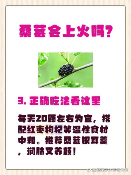 桑椹的功效与作用及副作用_吃桑椹会上火吗-第1张图片-山城妙识