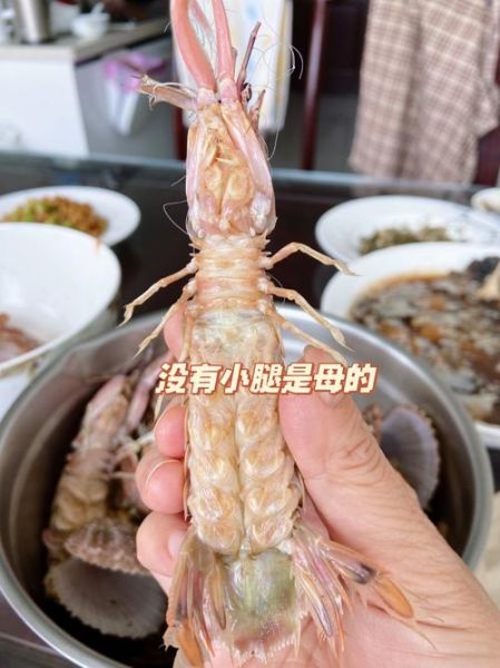 爬虾什么时候最肥_爬虾最肥月份-第2张图片-山城妙识