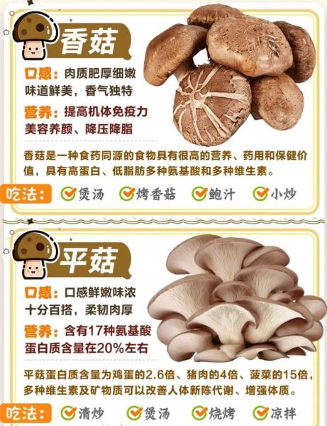 蘑菇大全名称图片_如何识别常见食用菌-第3张图片-山城妙识