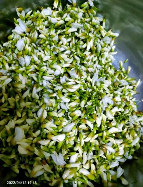 蒸槐花需要多长时间_蒸槐花怎么蒸才好吃-第1张图片-山城妙识