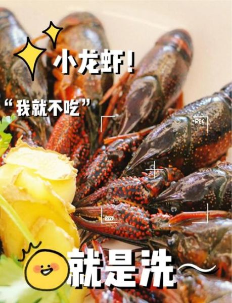 龙虾怎么清洗干净_龙虾清洗步骤-第3张图片-山城妙识