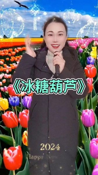 冰糖葫芦歌曲原唱mp3_哪里可以免费下载-第1张图片-山城妙识