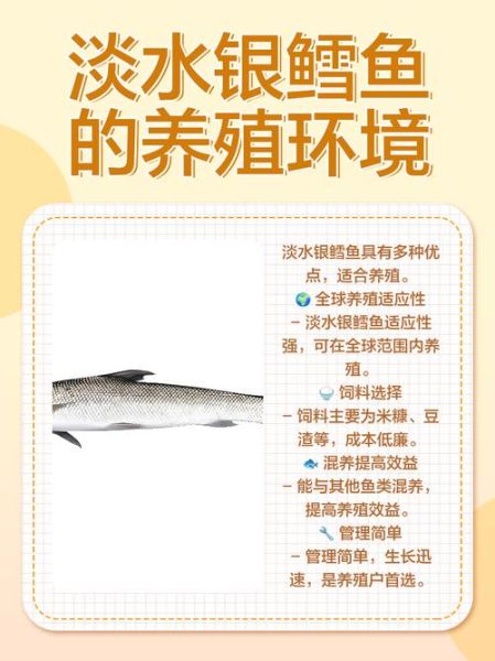 水鳕鱼是什么鱼_水鳕鱼宝宝能吃吗-第2张图片-山城妙识