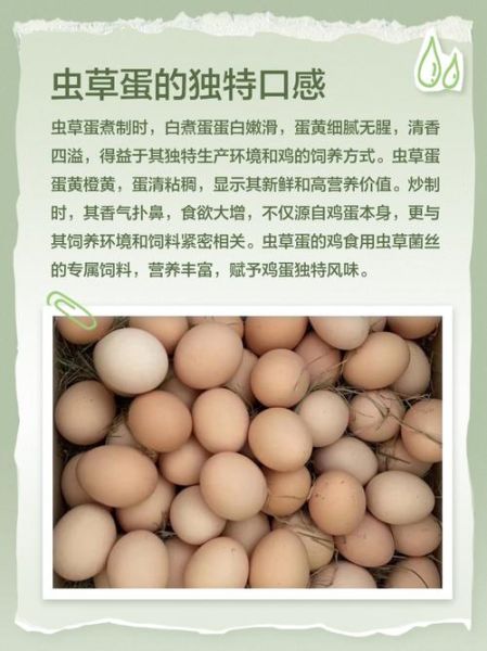 虫草鸡蛋和普通鸡蛋的区别_如何挑选真正的虫草鸡蛋-第3张图片-山城妙识
