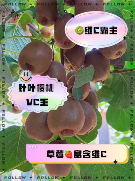 含维生素c的水果有哪些_哪些水果维C含量高-第3张图片-山城妙识