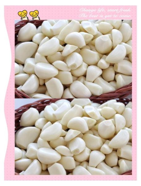 正宗腊八蒜怎么做_腊八蒜变绿秘诀-第2张图片-山城妙识