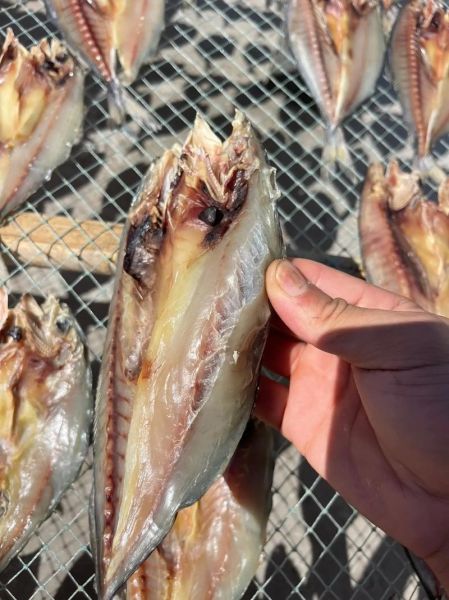 风干鲅鱼干怎么做_鲅鱼干要晒多久才香-第1张图片-山城妙识