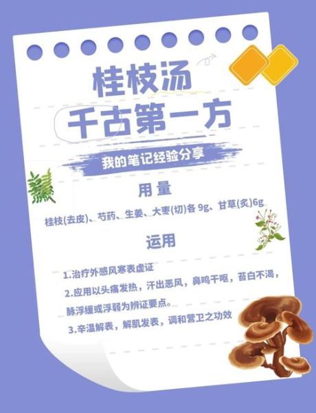 桂枝的功效与作用及食用方法_桂枝怎么吃效果最好-第2张图片-山城妙识