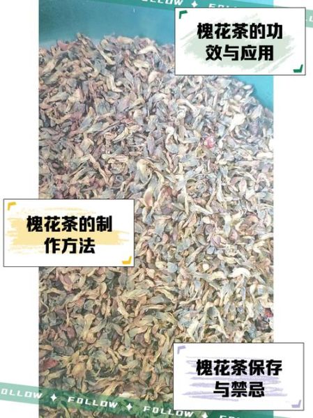 槐花茶怎么做_槐花茶简单做法-第1张图片-山城妙识