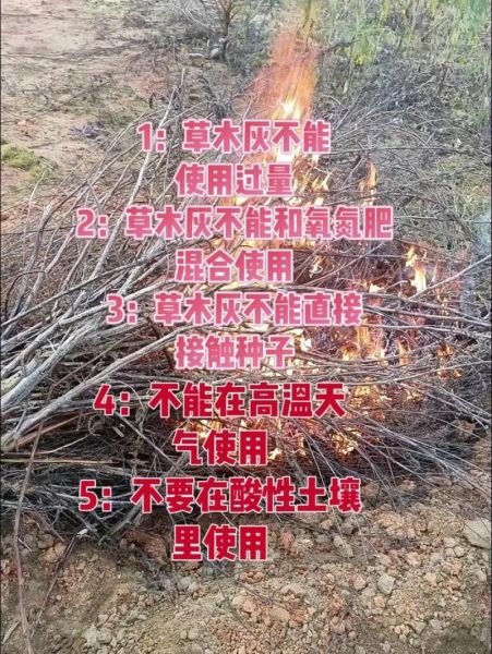 草木灰的正确使用方法_草木灰可以直接拌土吗-第2张图片-山城妙识