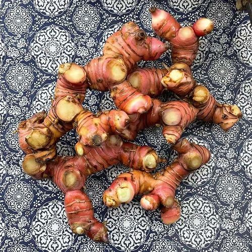 南姜是什么_南姜和生姜的区别-第3张图片-山城妙识 南姜是什么_南姜和生姜的区别-第3张图片-山城妙识