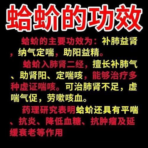 蛤蚧定喘胶囊适合什么人吃_蛤蚧定喘胶囊多久见效-第3张图片-山城妙识