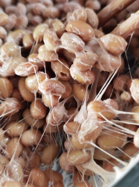 纳豆菌是什么_纳豆菌的作用与功效-第3张图片-山城妙识