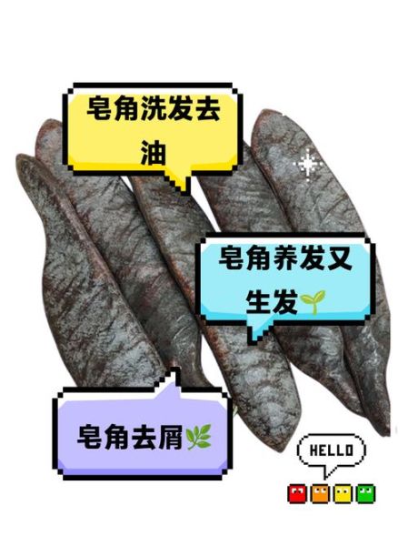 皂角怎么洗头_皂角洗头最简单的方法-第3张图片-山城妙识