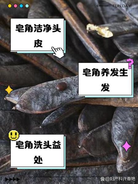 皂角怎么洗头_皂角洗头最简单的方法-第2张图片-山城妙识