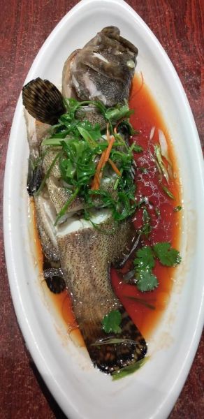 红烧石斑鱼怎么做_红烧石斑鱼用不用先煎-第3张图片-山城妙识