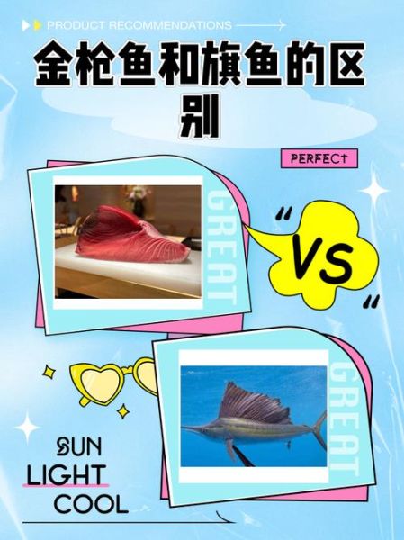 剑鱼和旗鱼有什么区别_如何快速分辨-第2张图片-山城妙识