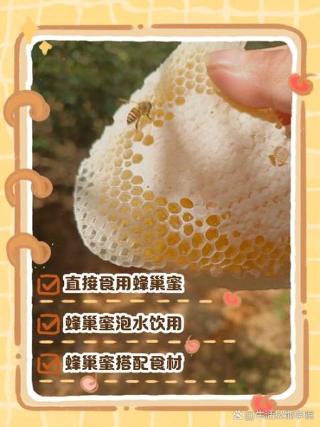 蜂巢蜜怎么吃_蜂巢蜜一天吃多少-第2张图片-山城妙识