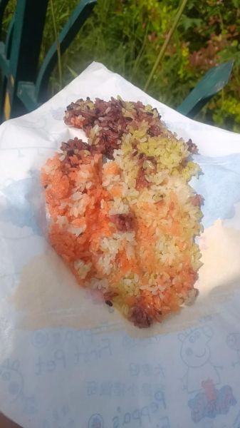 五彩饭团的做法_五彩饭团热量高吗-第2张图片-山城妙识 五彩饭团的做法_五彩饭团热量高吗-第2张图片-山城妙识