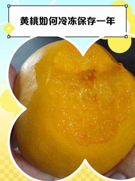 黄桃可以放冰箱吗_黄桃冷藏的正确方法-第1张图片-山城妙识 黄桃可以放冰箱吗_黄桃冷藏的正确方法-第1张图片-山城妙识