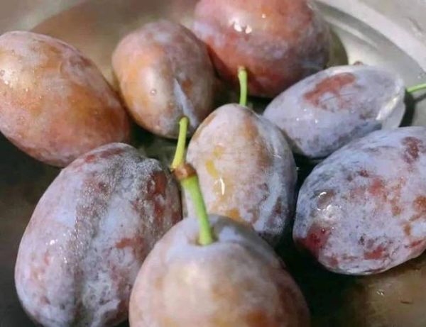 哪些水果通便效果好_便秘吃什么水果最快排便-第2张图片-山城妙识