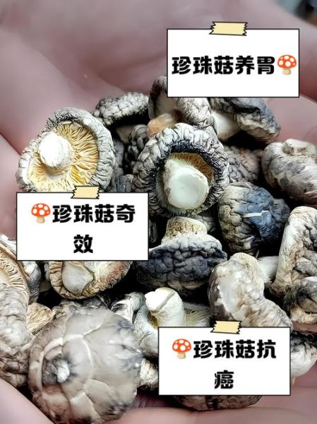 珍珠菇不能和什么一起吃_哪些食物相克-第1张图片-山城妙识