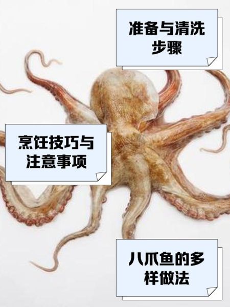 八爪鱼怎么做好吃_八爪鱼最简单的家常做法-第1张图片-山城妙识