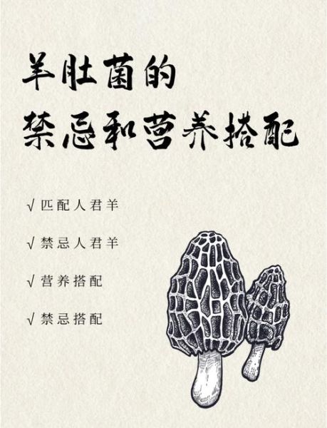 羊肚菌孕妇可以吃吗_孕期吃羊肚菌的注意事项-第1张图片-山城妙识