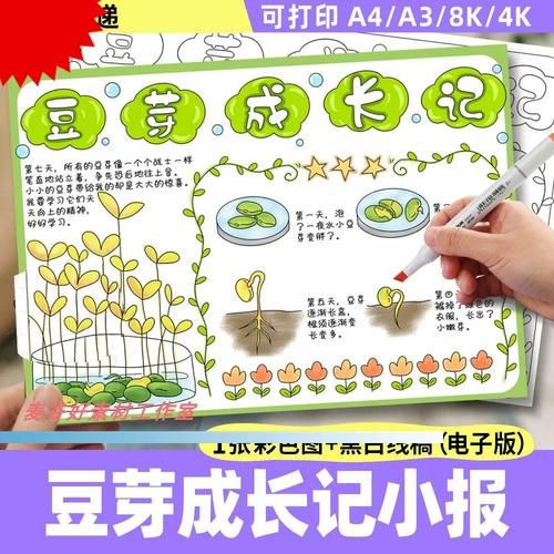 黄豆芽怎么种_黄豆芽生长过程观察日记-第2张图片-山城妙识 黄豆芽怎么种_黄豆芽生长过程观察日记-第2张图片-山城妙识