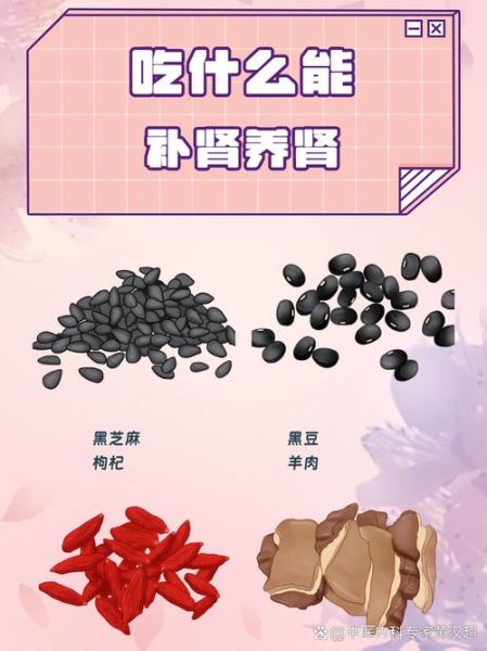 补肾气的食物有哪些_怎么吃效果最好-第1张图片-山城妙识