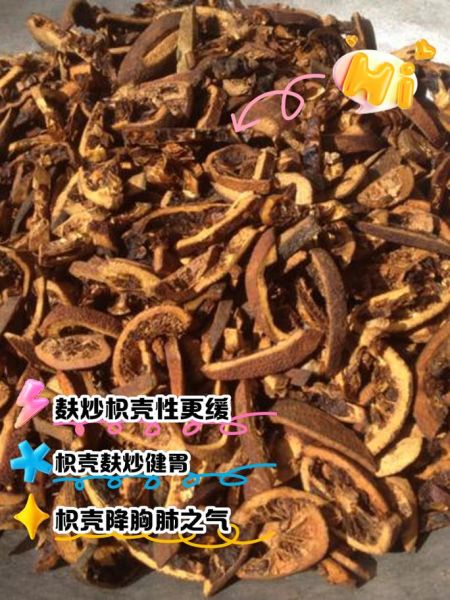 麸炒枳壳的功效与作用_麸炒枳壳怎么服用-第1张图片-山城妙识
