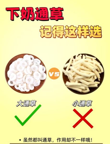 通草的功效与作用及用量_通草一天吃多少克-第3张图片-山城妙识