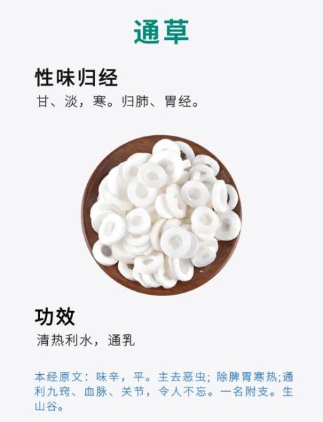 通草的功效与作用及用量_通草一天吃多少克-第1张图片-山城妙识