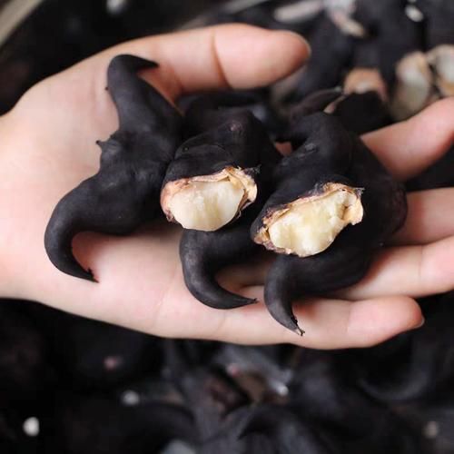 菱角怎么煮_菱角煮多久才熟-第3张图片-山城妙识