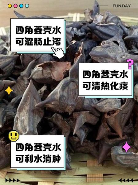 菱角怎么煮_菱角煮多久才熟-第2张图片-山城妙识