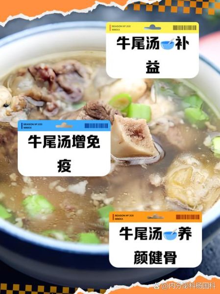 牛尾汤配料有哪些_牛尾汤怎么炖才好吃-第2张图片-山城妙识