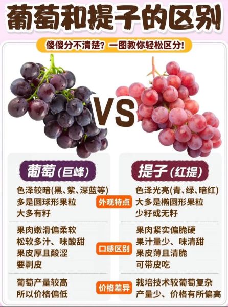 红提和葡萄的区别_哪个更甜-第3张图片-山城妙识