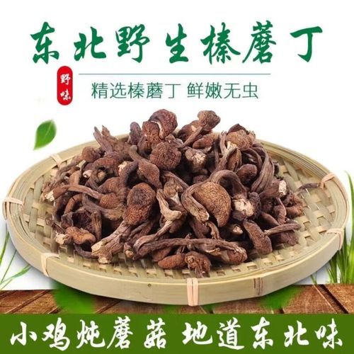 榛蘑多少钱一斤_榛蘑价格受哪些因素影响-第1张图片-山城妙识