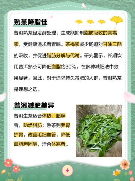 长期喝普洱茶的好处和坏处_普洱茶能减肥吗-第3张图片-山城妙识 长期喝普洱茶的好处和坏处_普洱茶能减肥吗-第3张图片-山城妙识
