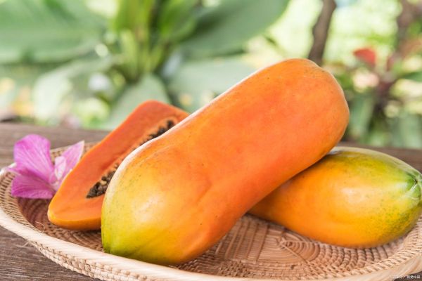 木瓜图片_木瓜怎么挑选-第3张图片-山城妙识