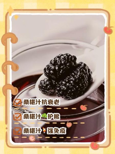 桑椹汁的功效与作用_长期喝桑椹汁有什么好处-第1张图片-山城妙识