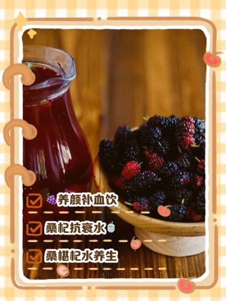 桑椹汁的功效与作用_长期喝桑椹汁有什么好处-第2张图片-山城妙识
