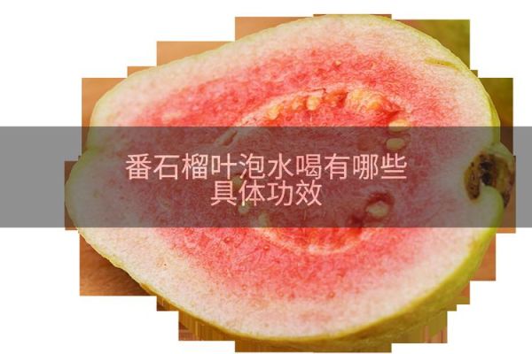 芭乐叶的功效与作用_芭乐叶泡水喝的禁忌-第3张图片-山城妙识