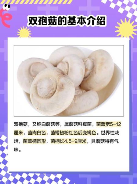双孢蘑菇粉怎么吃_双孢蘑菇粉功效与作用-第1张图片-山城妙识