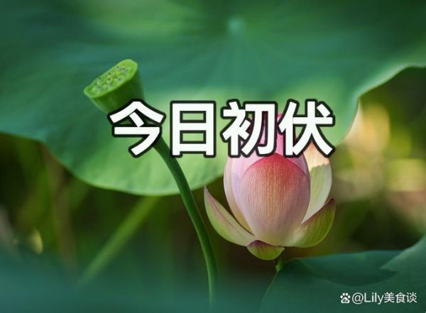 头伏是什么意思_头伏从哪天开始算-第3张图片-山城妙识