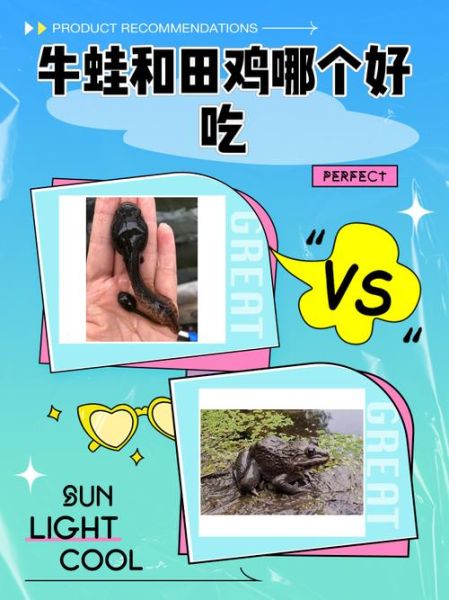 田鸡怎么做好吃_田鸡和牛蛙的区别-第1张图片-山城妙识