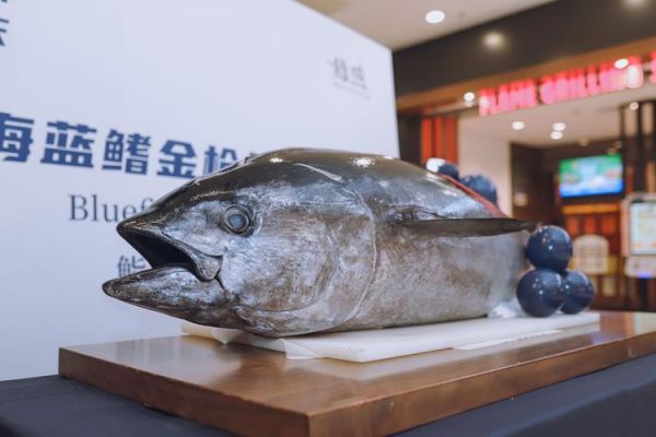 鱼鱼桌面秀是什么_鱼鱼桌面秀怎么用-第1张图片-山城妙识