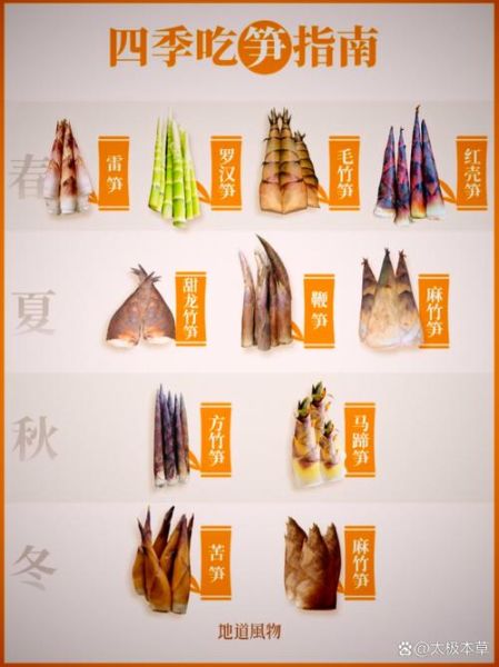 笋都有哪几种_新鲜笋类品种大全-第1张图片-山城妙识