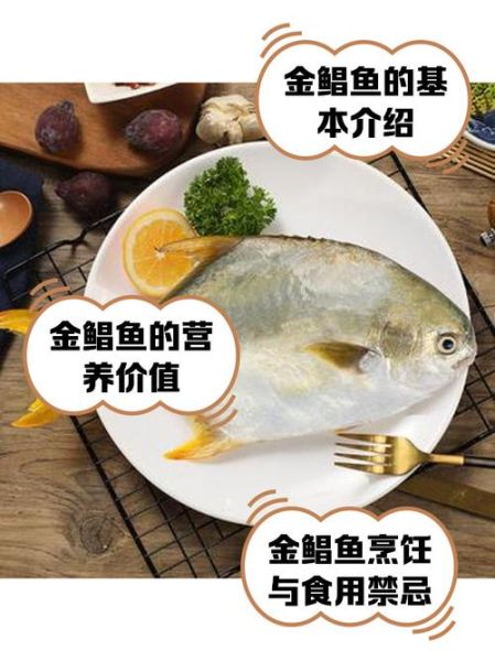 金鲳鱼多少钱一斤2021_2021金鲳鱼价格走势-第1张图片-山城妙识