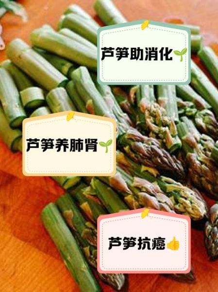 芦笋的营养价值_芦笋的药用功效有哪些-第1张图片-山城妙识